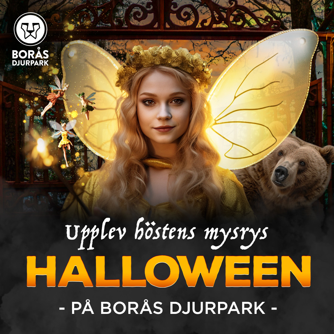 Hem - Borås Camping & Vandrarhem